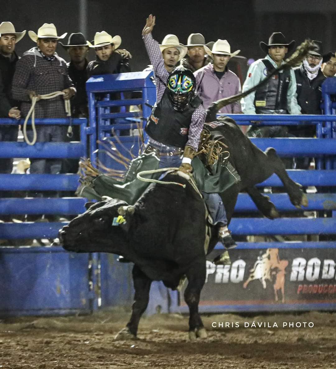 Jinetes Coahuilenses Representarán A México En Las Finales Mundiales ...
